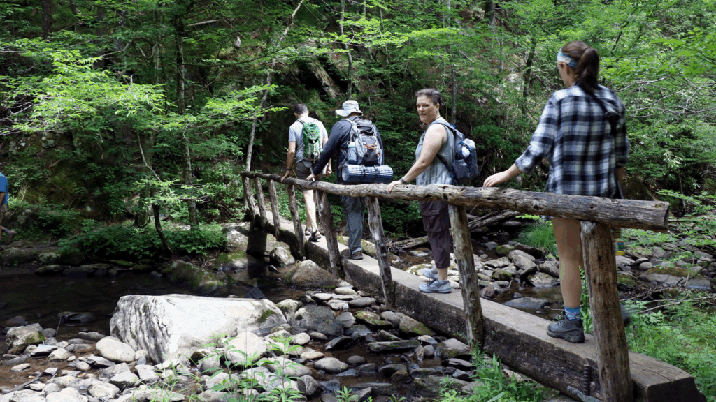 Naturalist Week: Summer Camp for Adults - Tremont Institute
